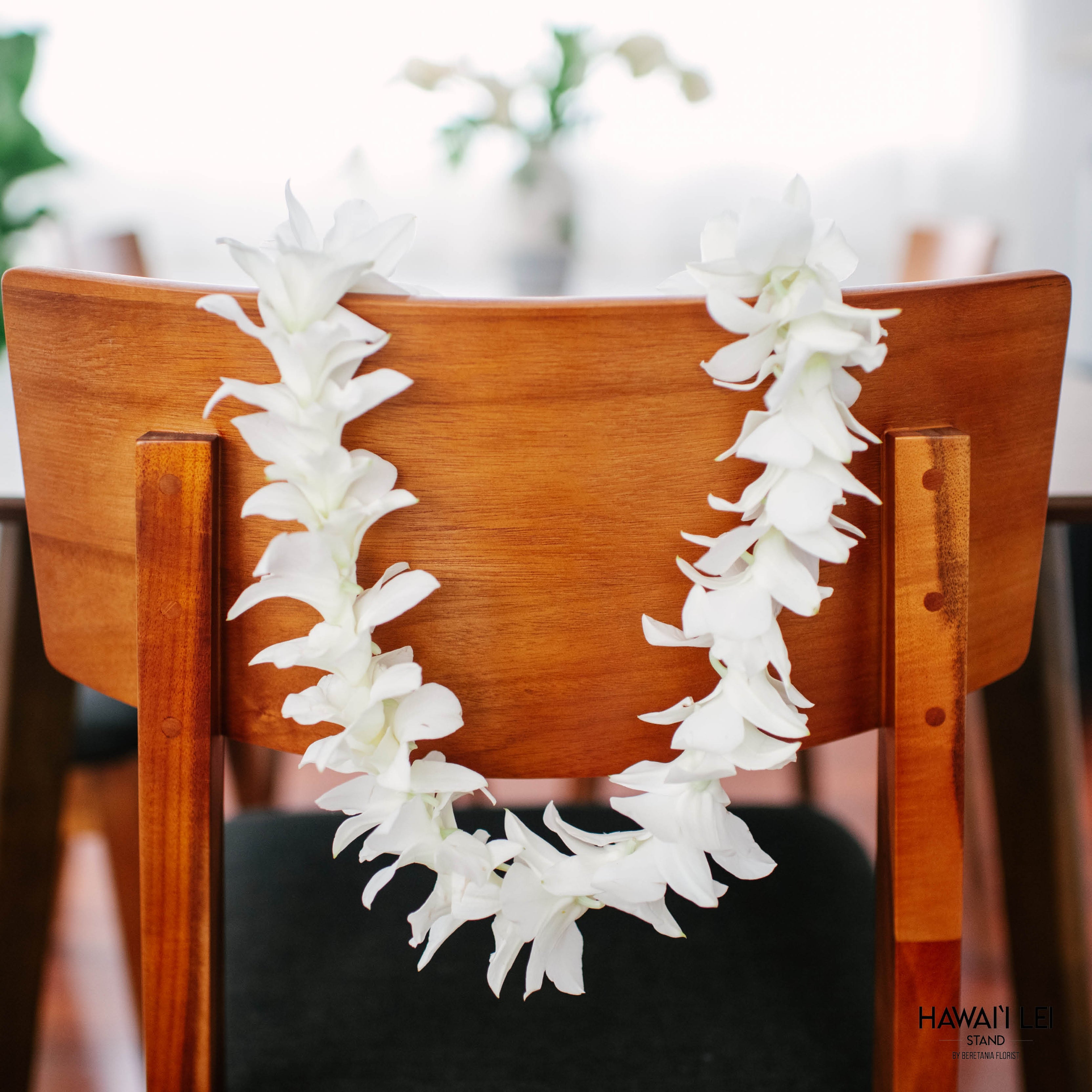Single Orchid Lei (White) | Hawaii Lei Stand