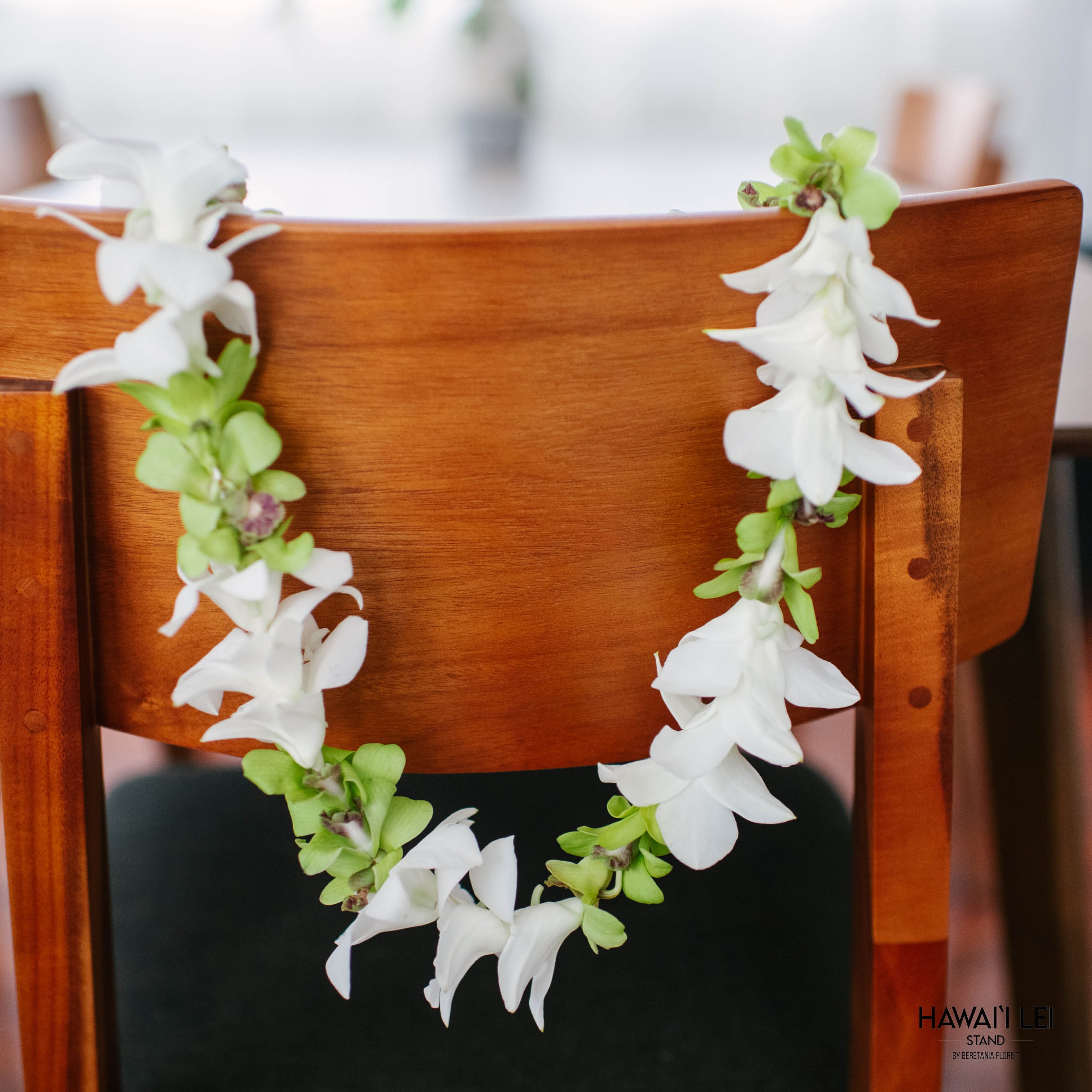 Deluxe Orchid Lei (Green and White) | Hawaii Lei Stand