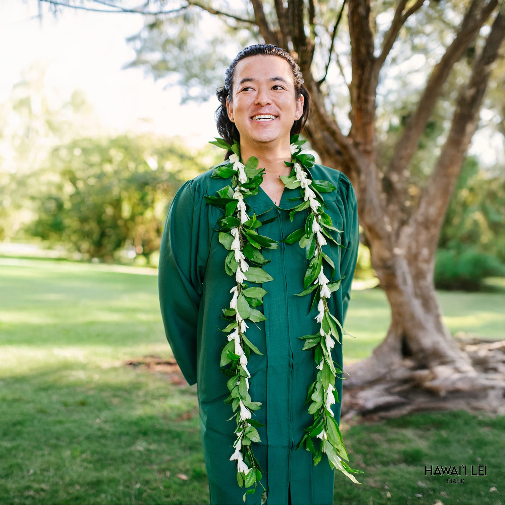 Premium Big Island Maile Lei (Limited Availability) - Hawaii Lei Stand ...