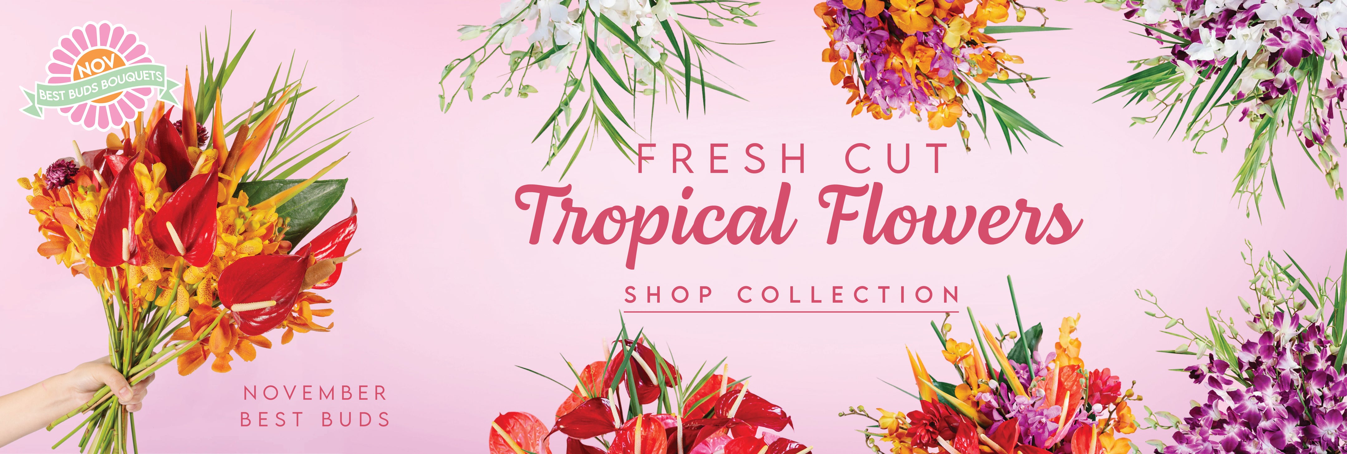 Order & Ship Hawaiian Lei Online | Hawaii Lei Stand