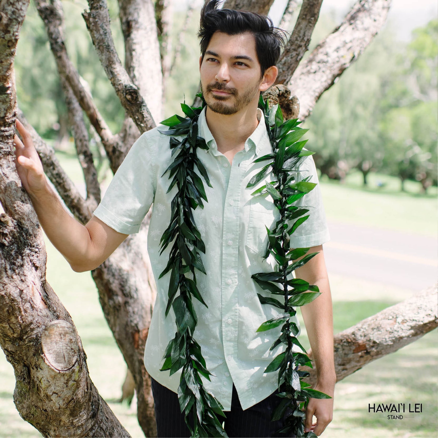 Hawaiian Luau Lei | Luau Flower Necklaces