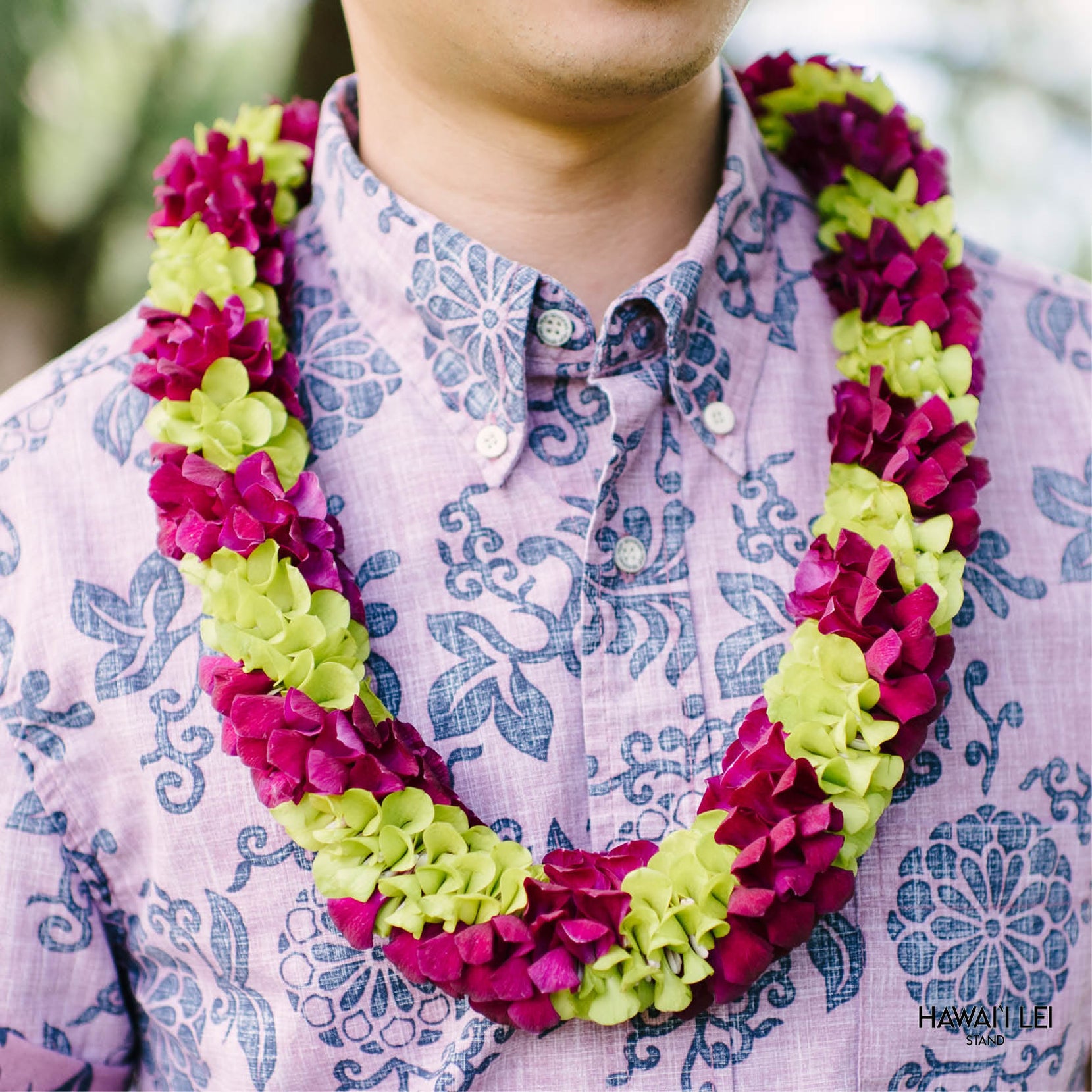 Spiral Orchid Lei (Multi-Color) - Hawaii Lei Stand - Lei Shipping ...